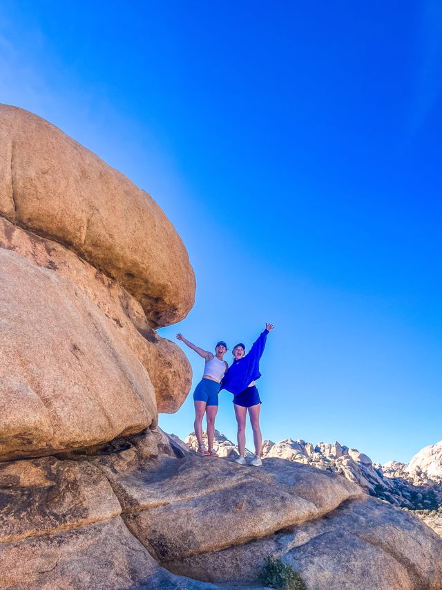 Brooke Elfert, Distance, Northern Colorado Bears - NIL Profile - Opendorse